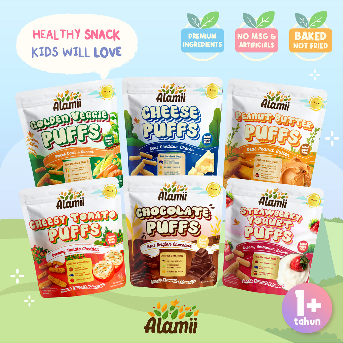 Alamii Food - Healthy Snacks Kids will Love – Alamiifood